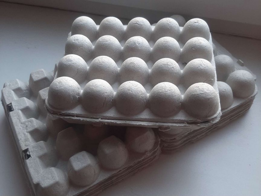 Контейнер на 20 яиц перепела