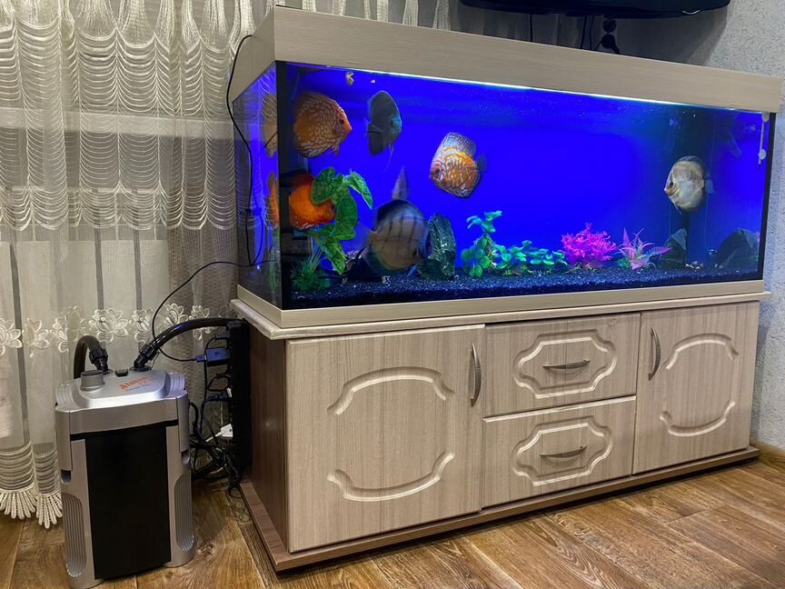 Аквариум с тумбой 240 литров