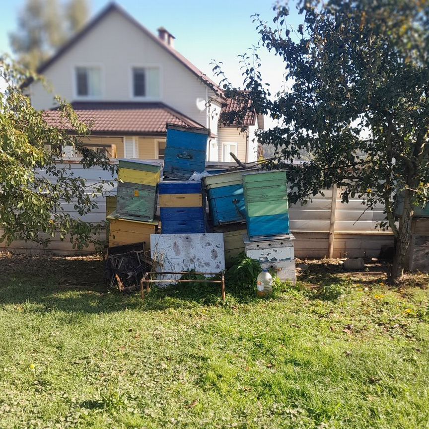 Улики для пчел