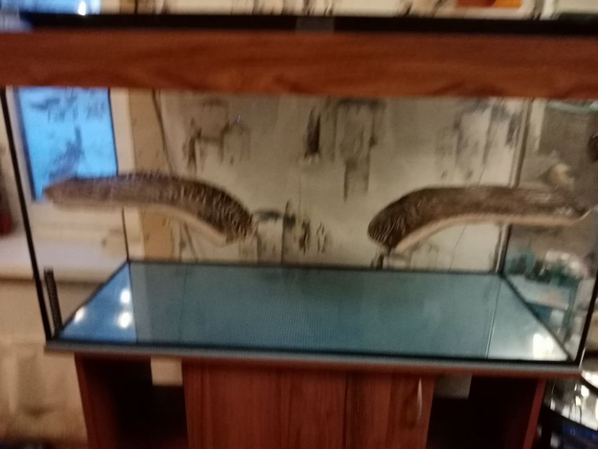 Акватеррариум для красноухой черепахи