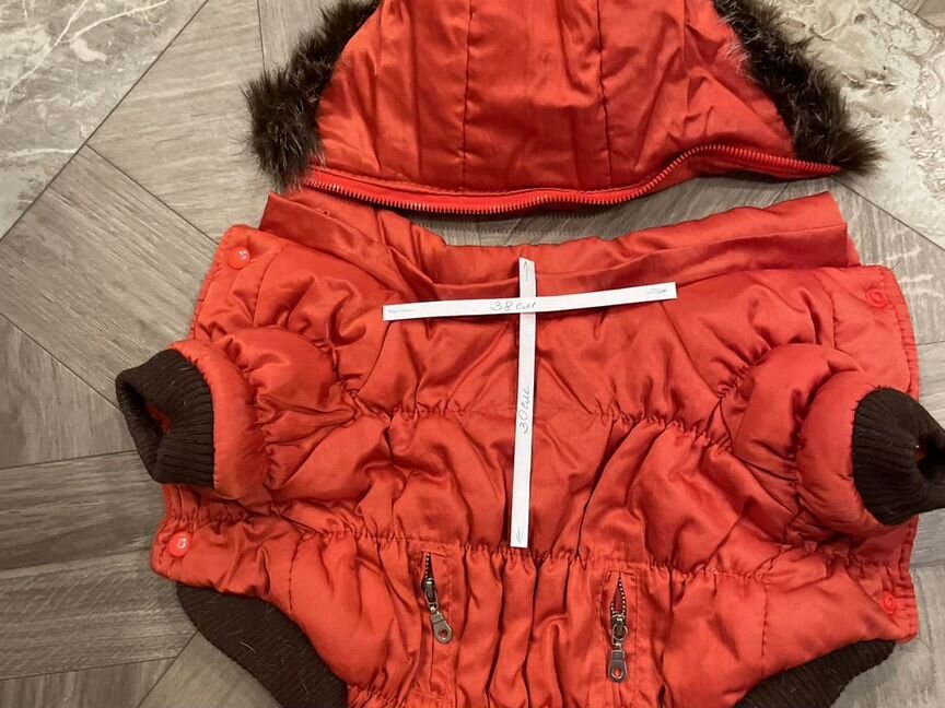 Комбез для мелких собачек чихуа