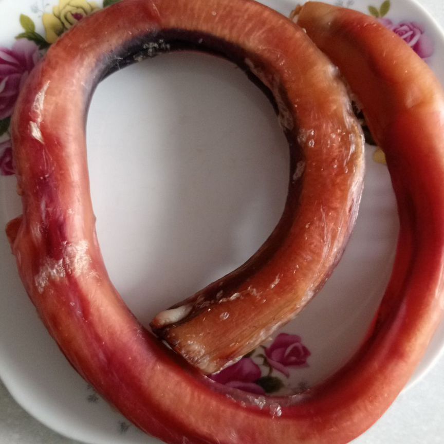 Бычий корень для собак