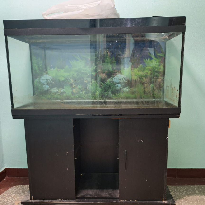 Аквариум с тумбой бу