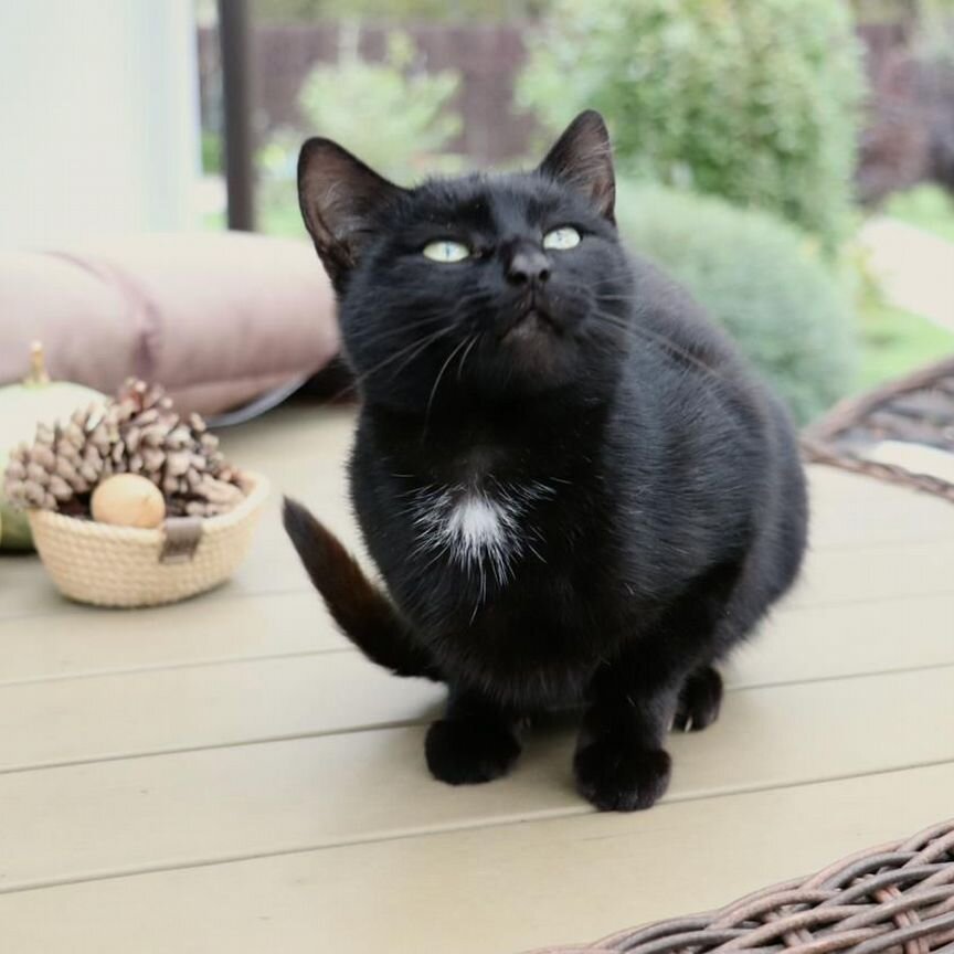 Неравнодушный человек отзовитесь