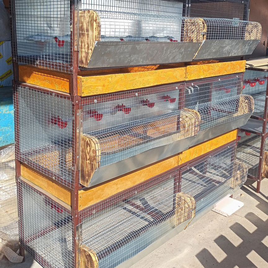 Клетки для содержания цыплят бройлеров