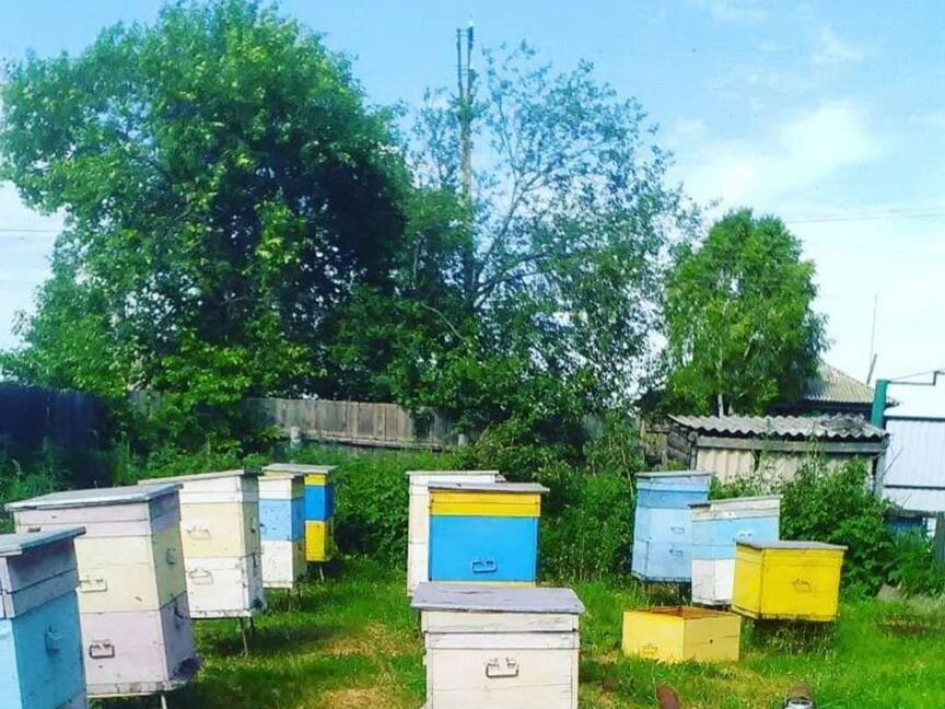 Улей для пчел