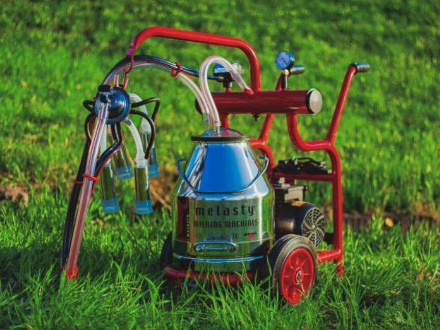 Доильный аппарат melasty и сыроварня maggio