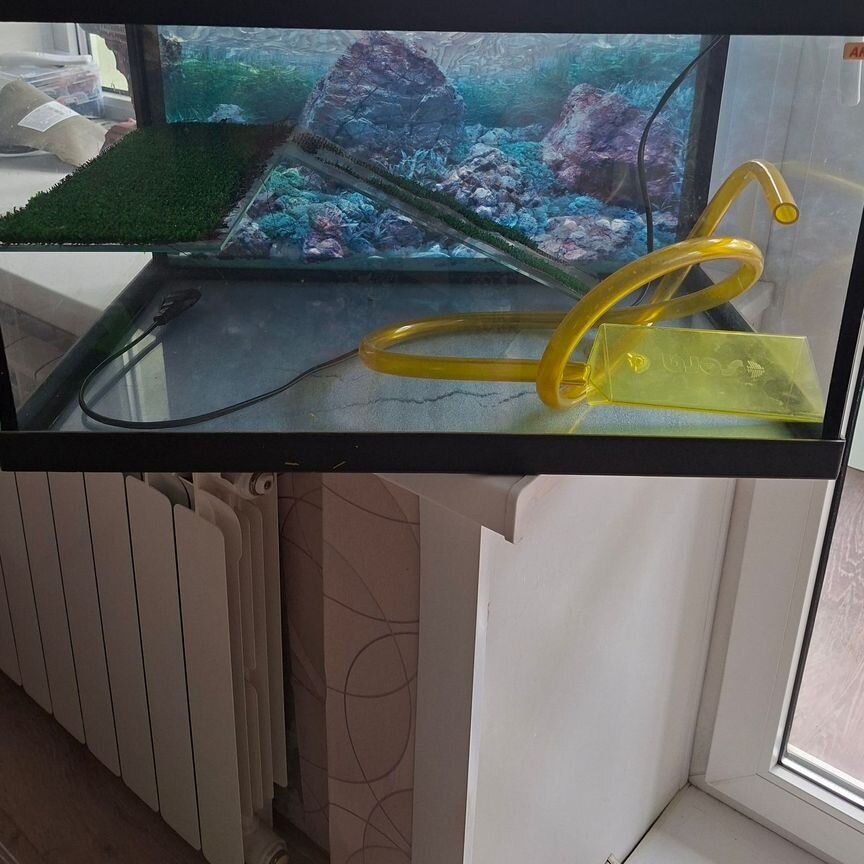 Аквариум для черепах бу