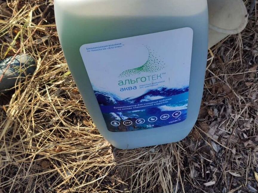 Хлорелла для водоема