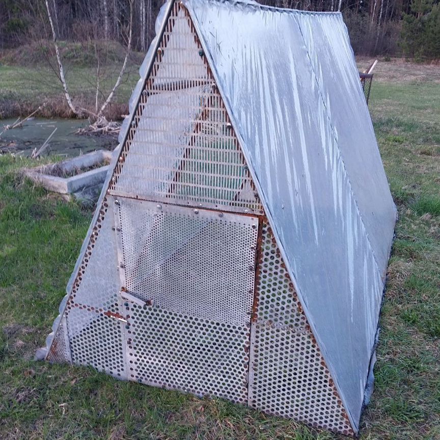 Клетка для цыплят