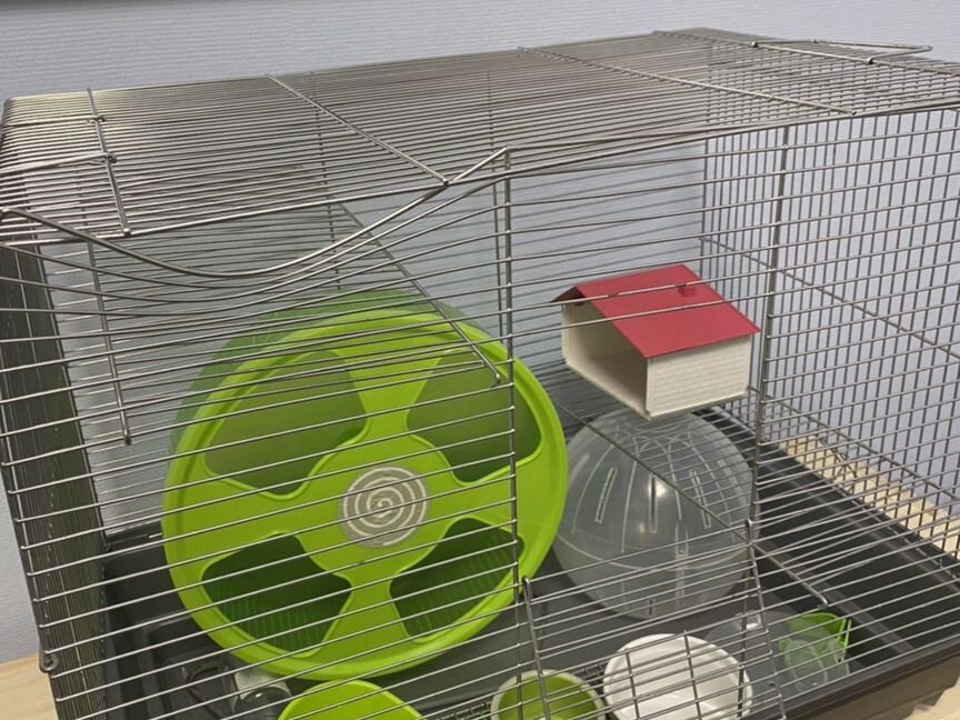 Клетка для сирийского хомяка и наполнение