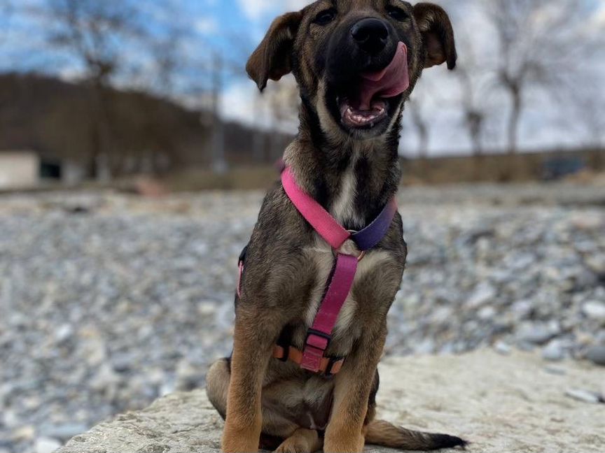 Милый ангелочек в добрые руки