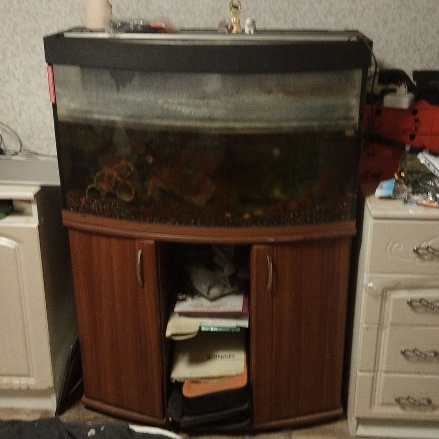 Аквариум с тумбой бу 150л с тремя рыбками