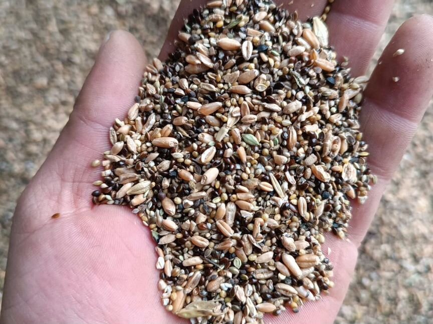 Зерноотходы