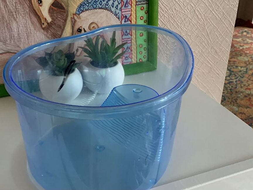Продается аквариум для черепахи