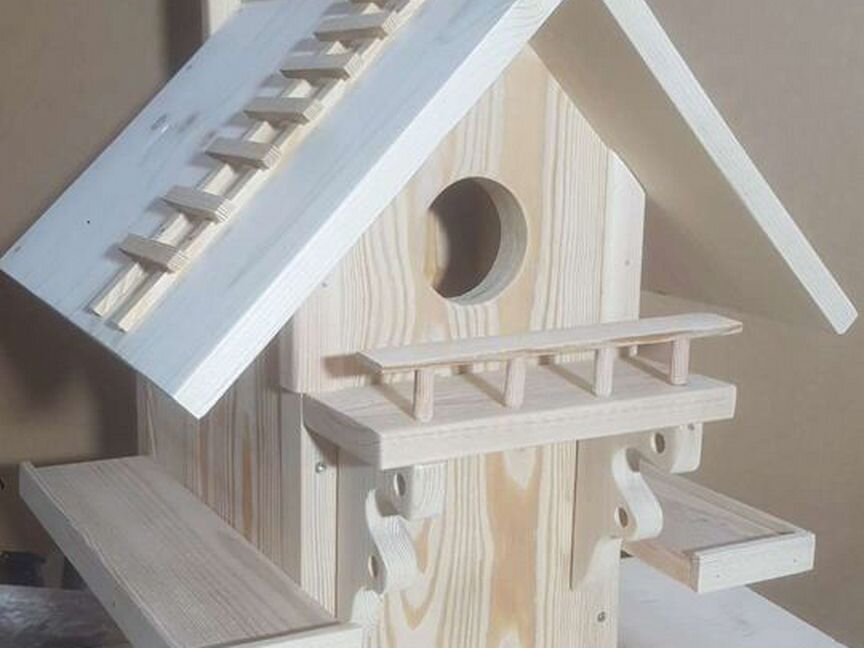 Бельчатник зимний