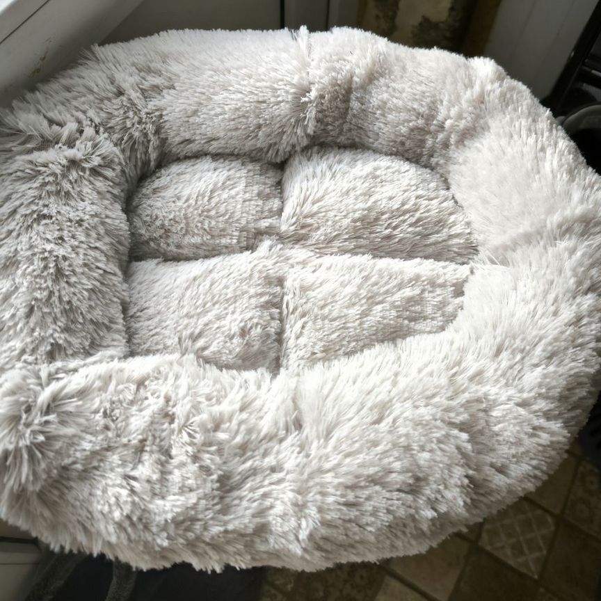 Лежанка для кошек бронь до 02.04