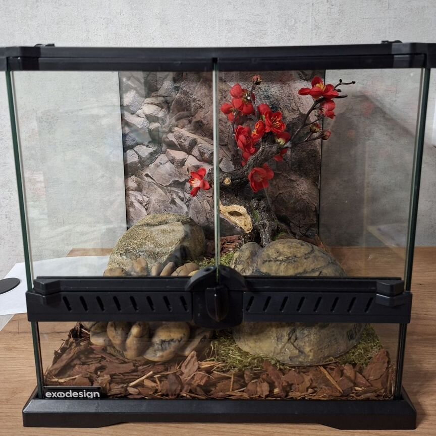 Террариум exodesign