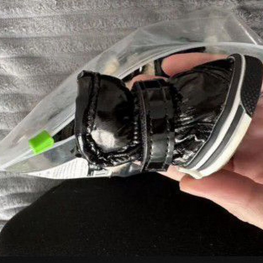 Обувь для собак