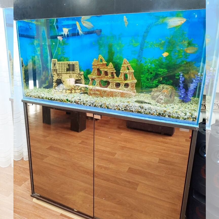 Аквариум с тумбой 200 литров