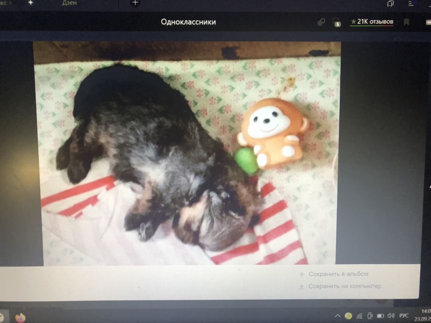 Хочу продать домик для девочки для кукол можно е