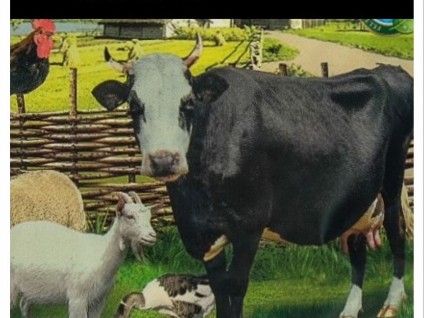 Корма для животных