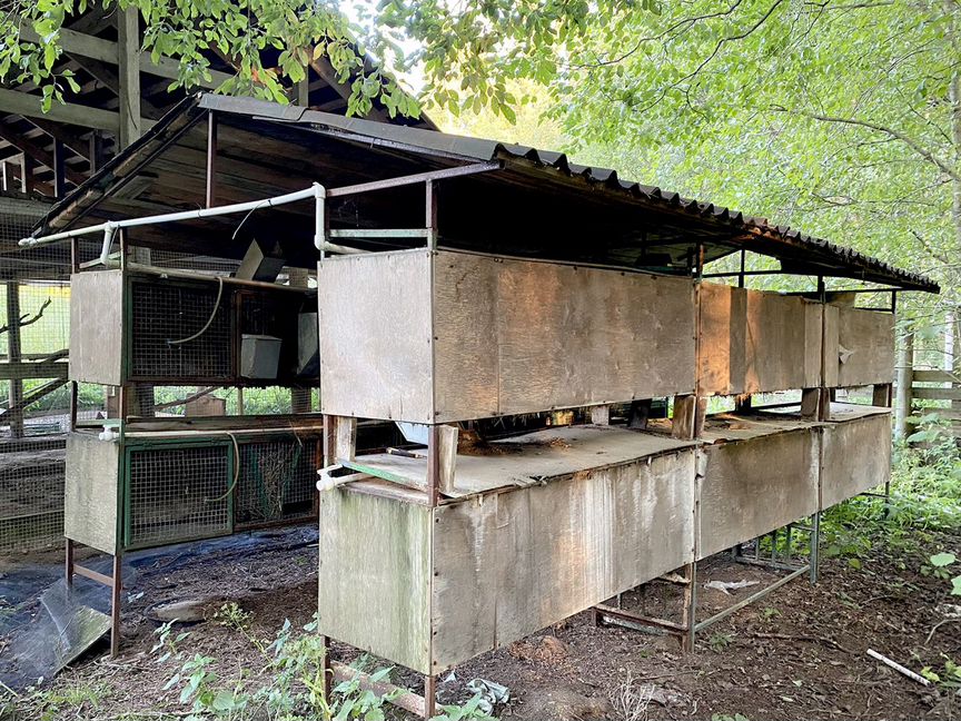 Клетки для кроликов бу