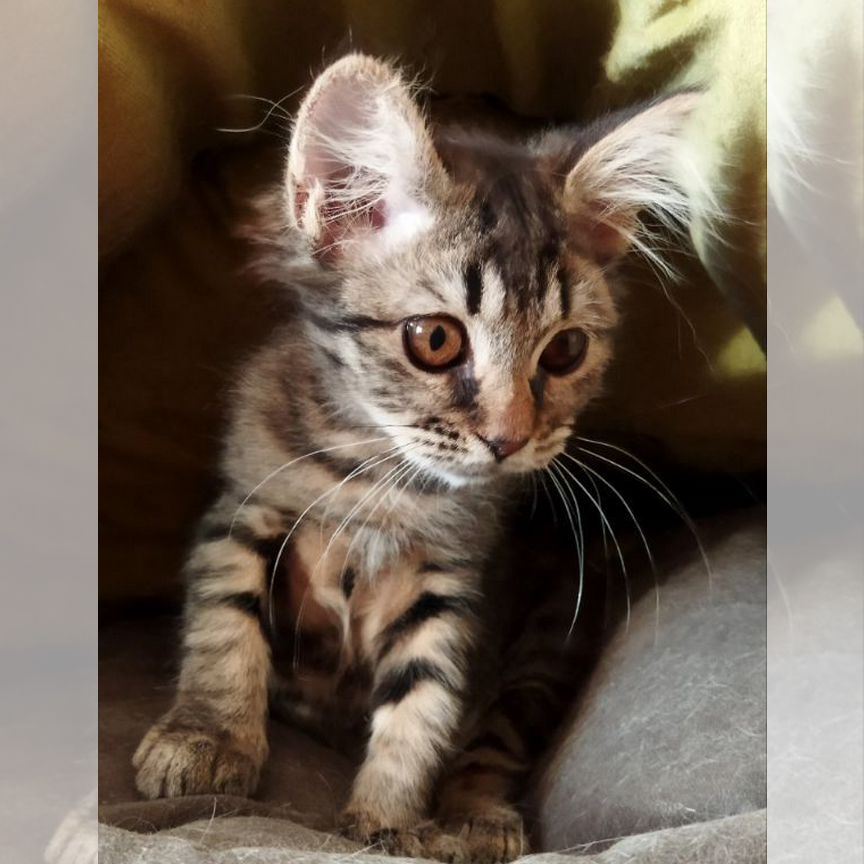 Стеша 2 месяца