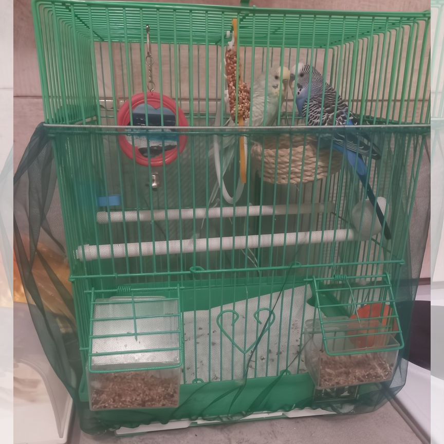 Клетка для попугая бу