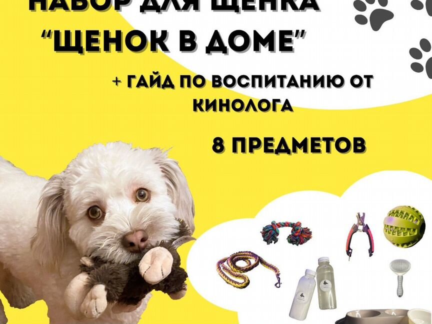 Вещи для щенка