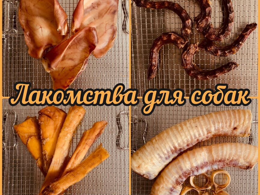 Натуральные сушеные лакомства для собак