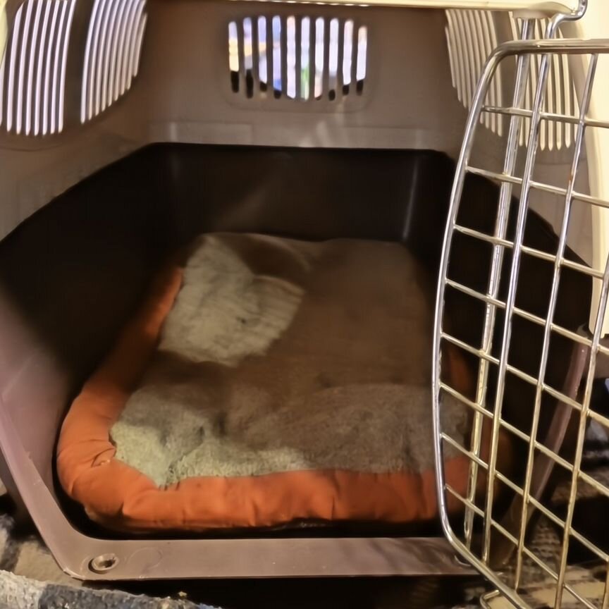 Переноска для кошек пластиковая