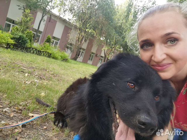 Ищем помощников (волонтеров) в приют