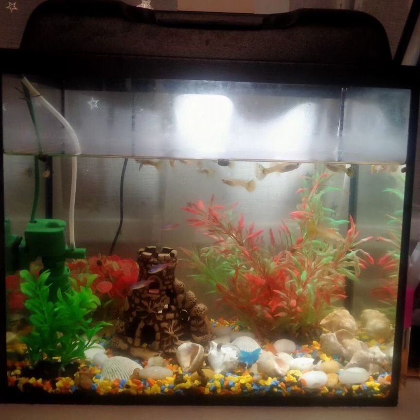 Аквариум