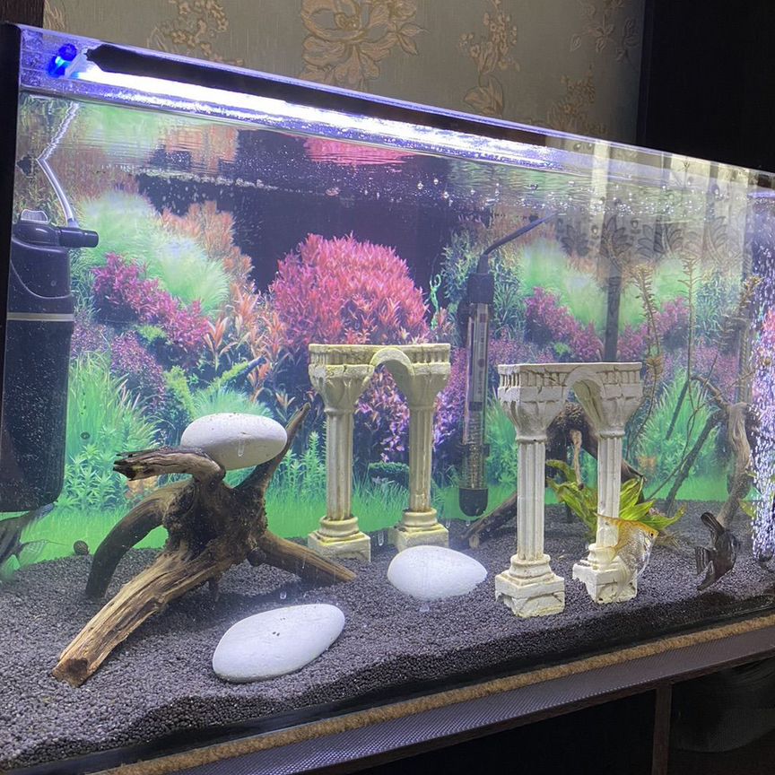 Аквариум 72л