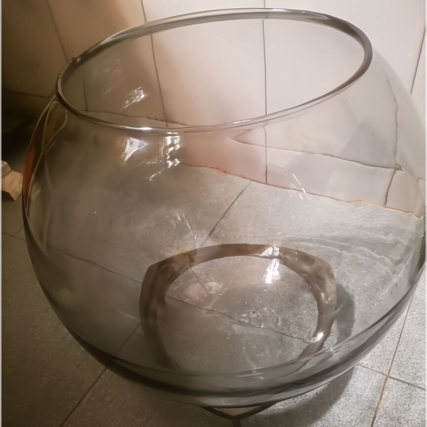 Аквариумные рыбки
