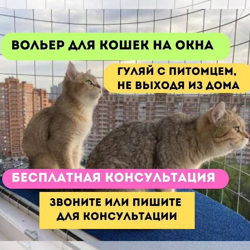 Балкон для кошек