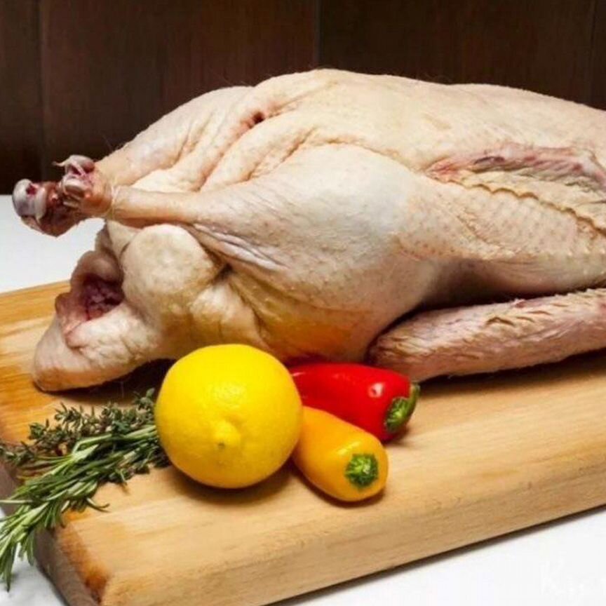 Гуси утки индоутки