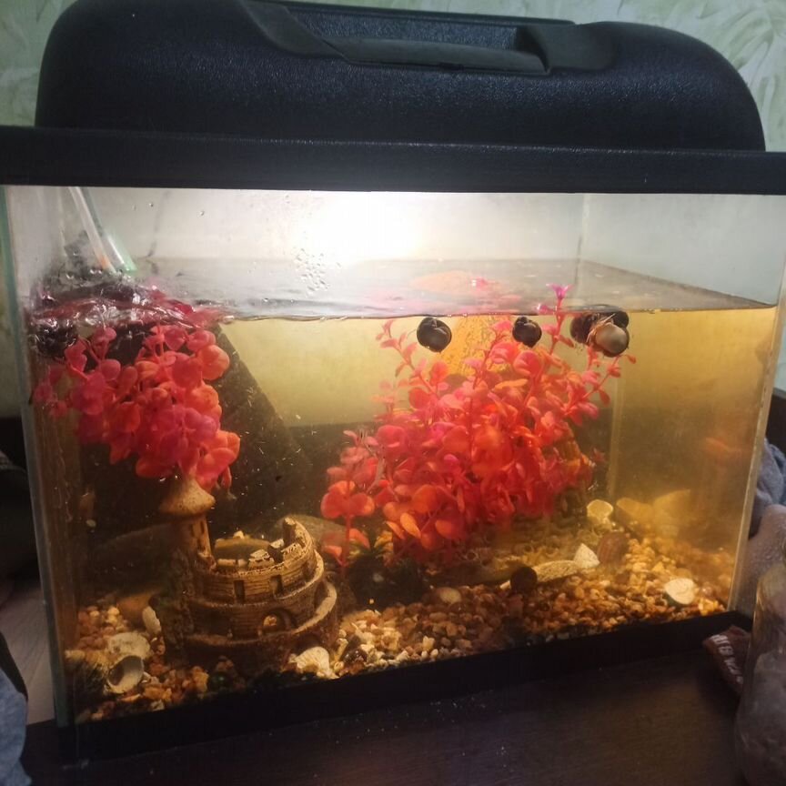 Аквариум 25 литров