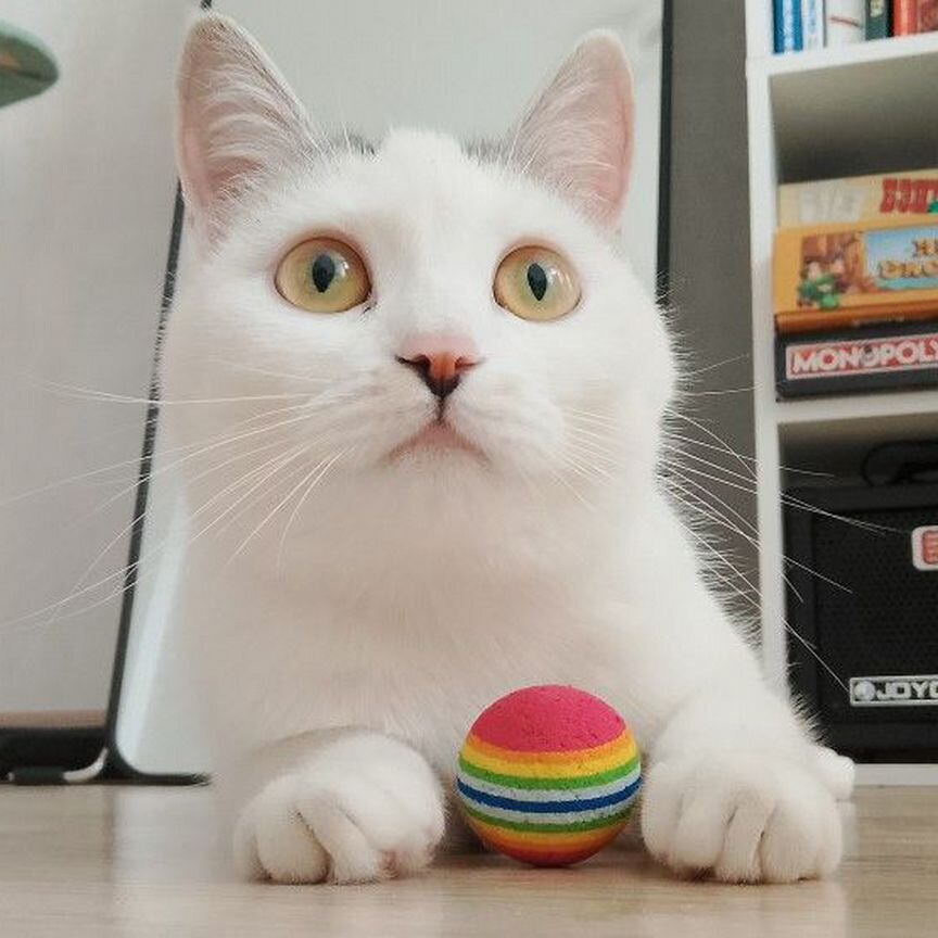 Отдам в добрые руки