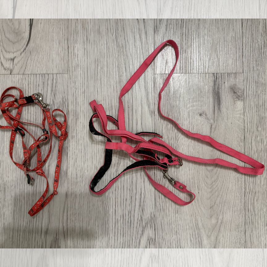 Шлейка для кошек