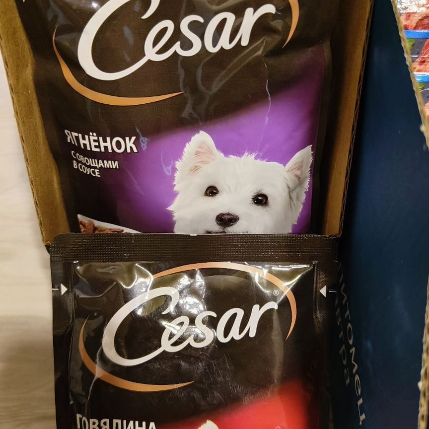 Влажный корм для собак Cesar