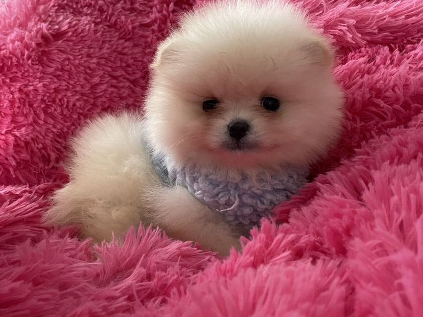 Кукольный мини малыш