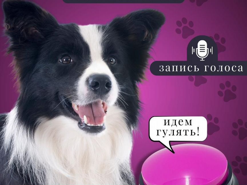 Кнопка голосовая для собак