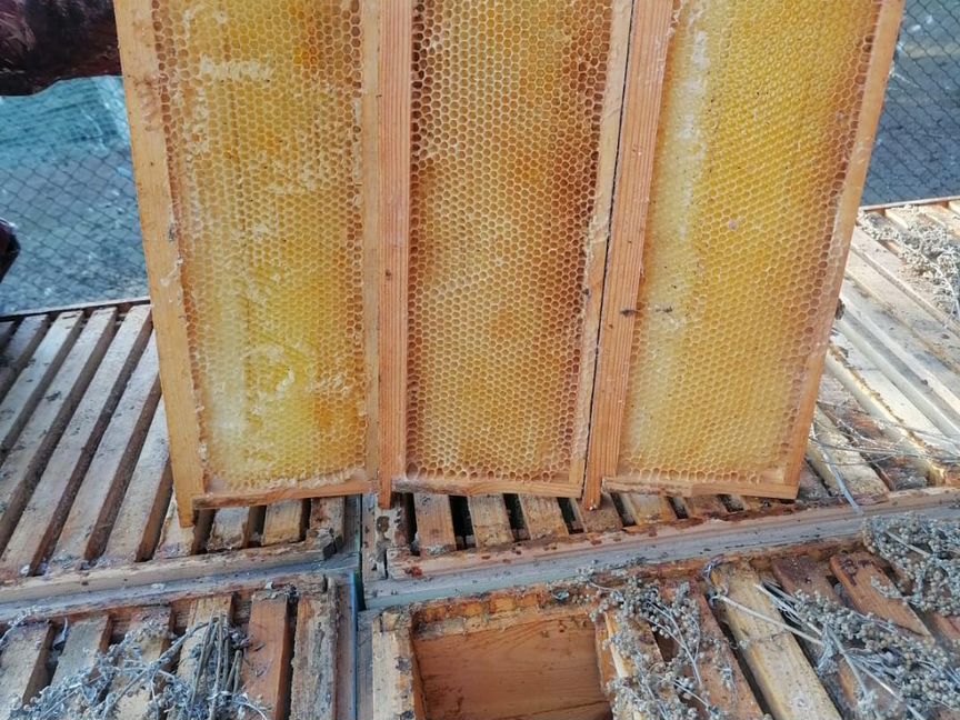 Магазинные рамки сушь