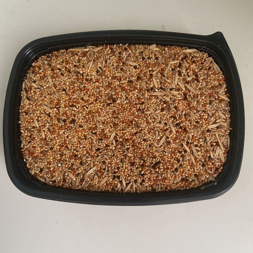 Корм для попупагая