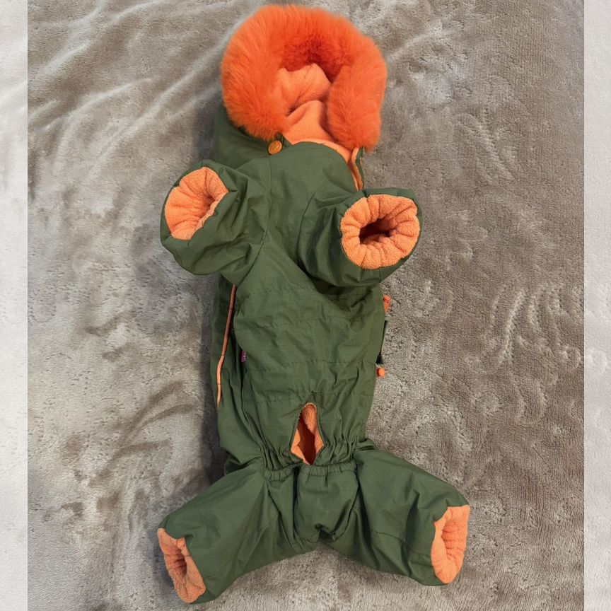 Одежда для собак мелких пород мальчик