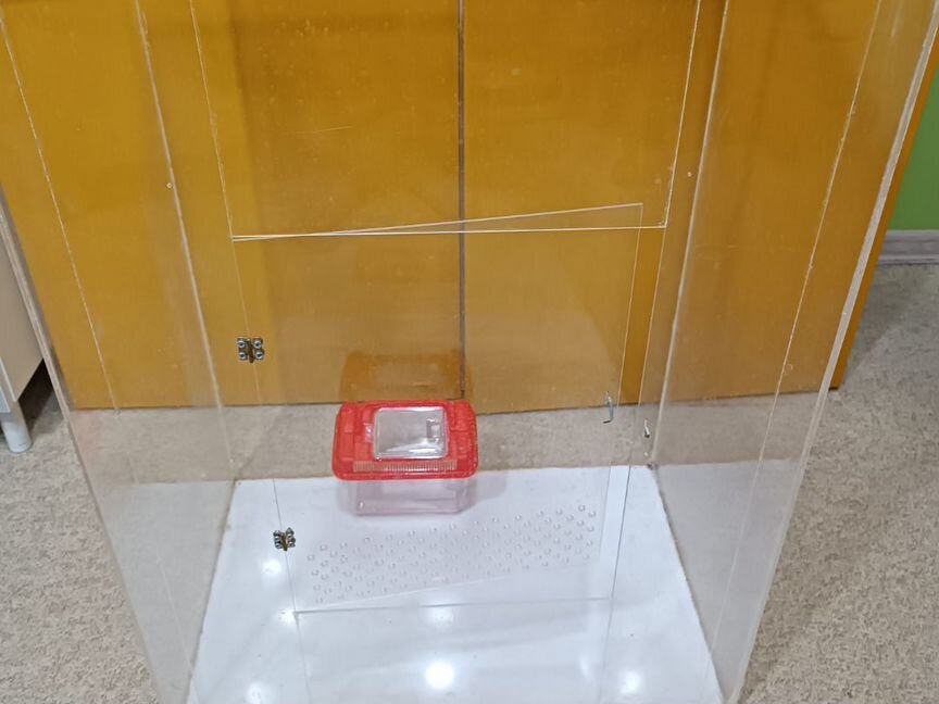 Террариум для рептилий большой