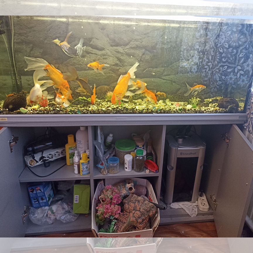 Аквариум с рыбами и тумбой