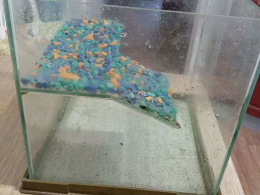 Аквариум для черепашки